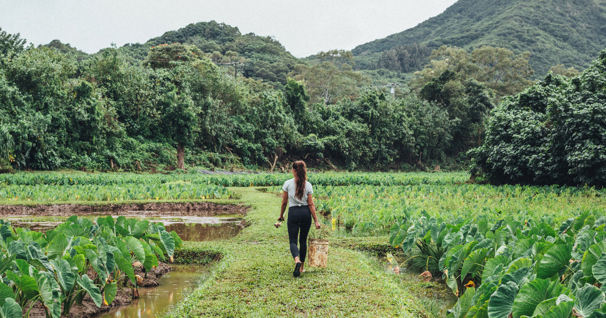 The 3 Most Commonly Asked Questions About OluKai