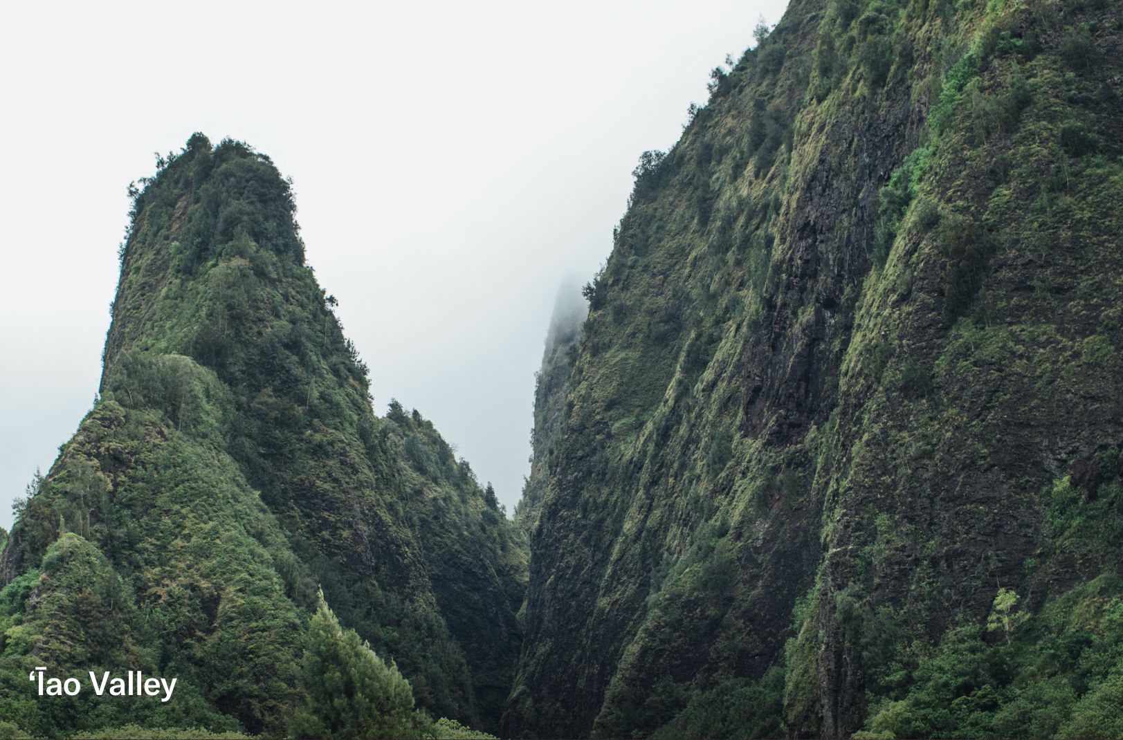 Maui Island Guide | OluKai